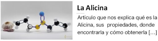 ¿Qué cápsulas de ajo y alicina comprar y por qué? 3 productos