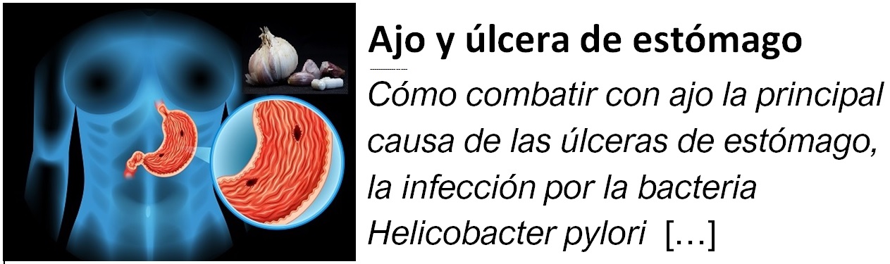 Alicina qué es, propiedades, beneficios y donde encontrarla